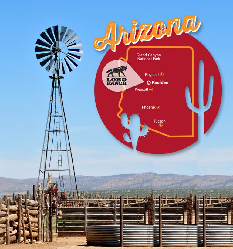 Lobo Ranch - The Hitchcock Foundation